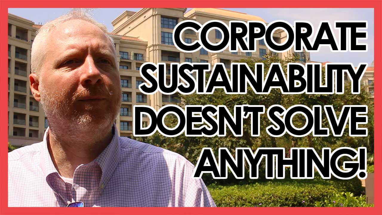 Why I Bet on Social Entrepreneurship over Corporate Sustainability ...